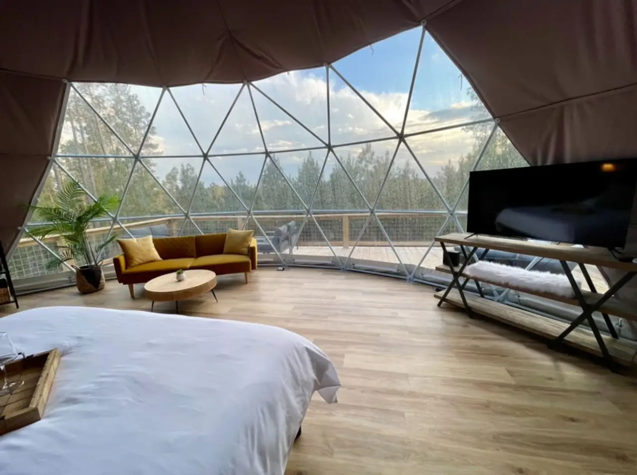 Nine Pines Retreat - Luna Glamping